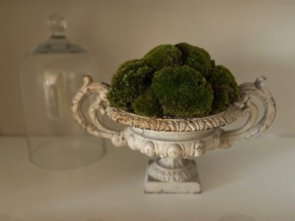 Mooskugel - Moosball DIY aus echtem Kissenmoos